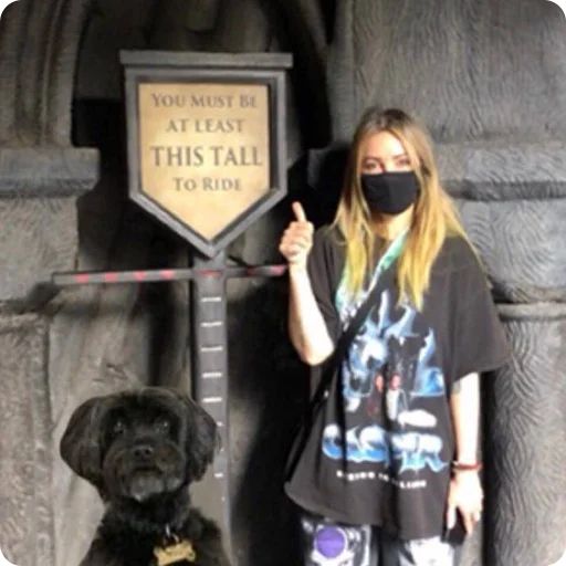 “Alison Wonderland” stickers set for Telegram