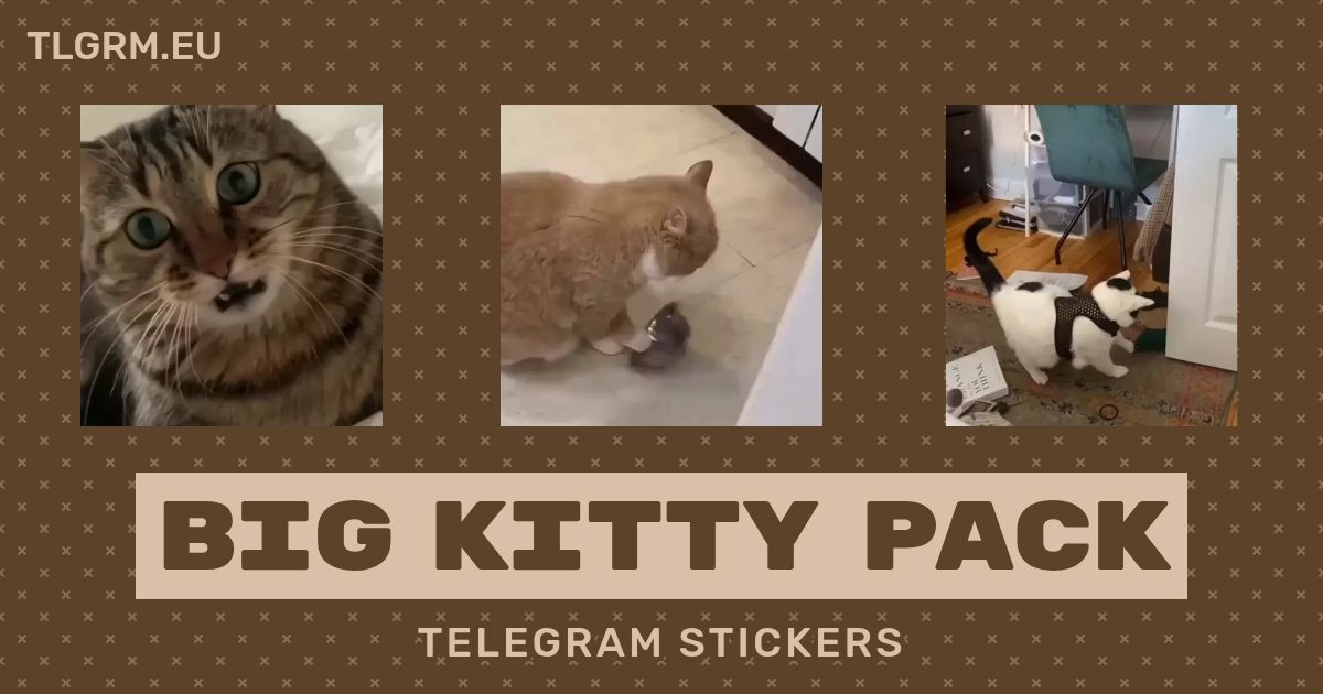 “Big Kitty Pack” animated sticker set for Telegram