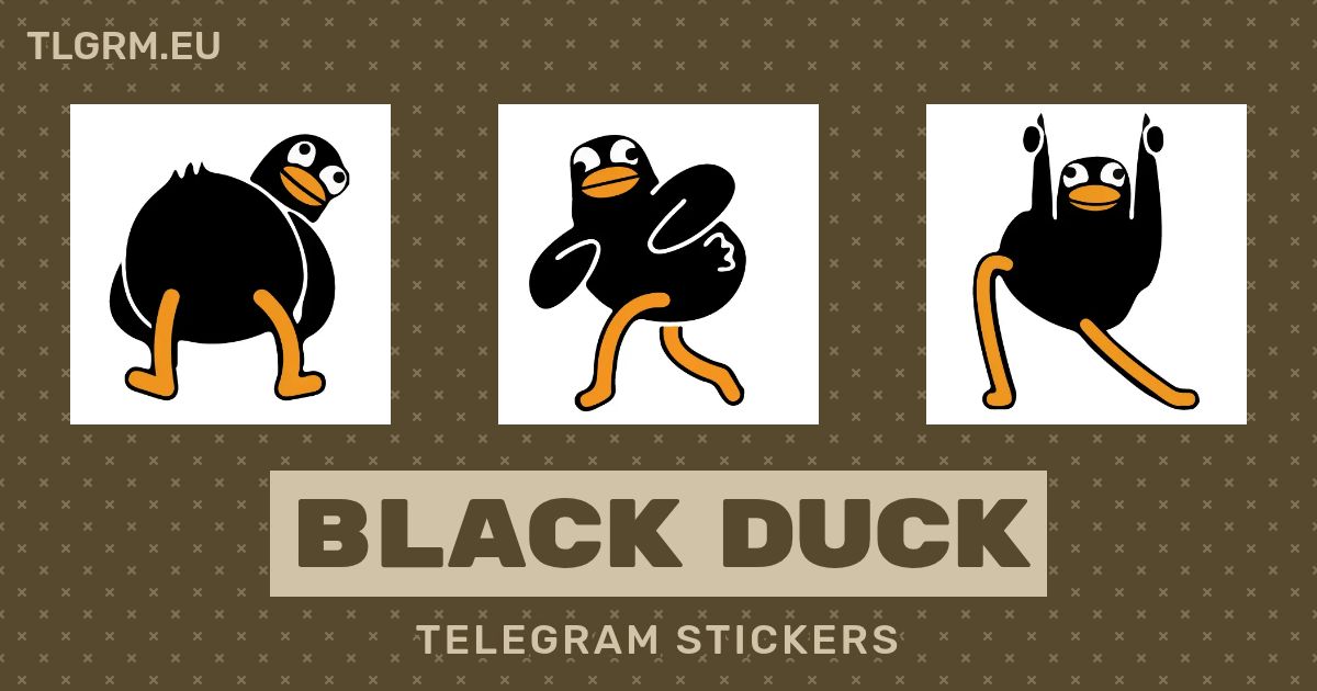 “Black Duck” animated sticker set for Telegram