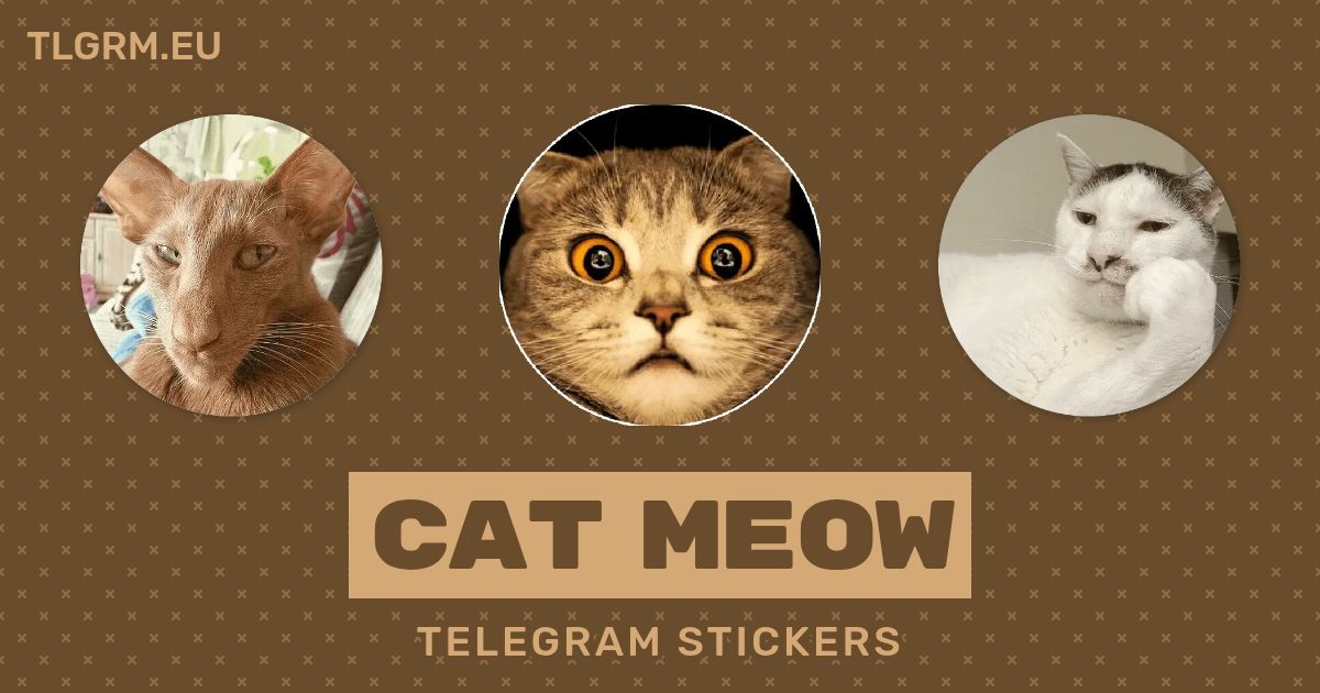 “Cat Meow” stickers set for Telegram