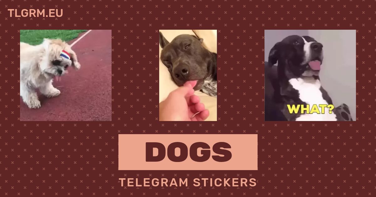 “Dogs” animated sticker set for Telegram