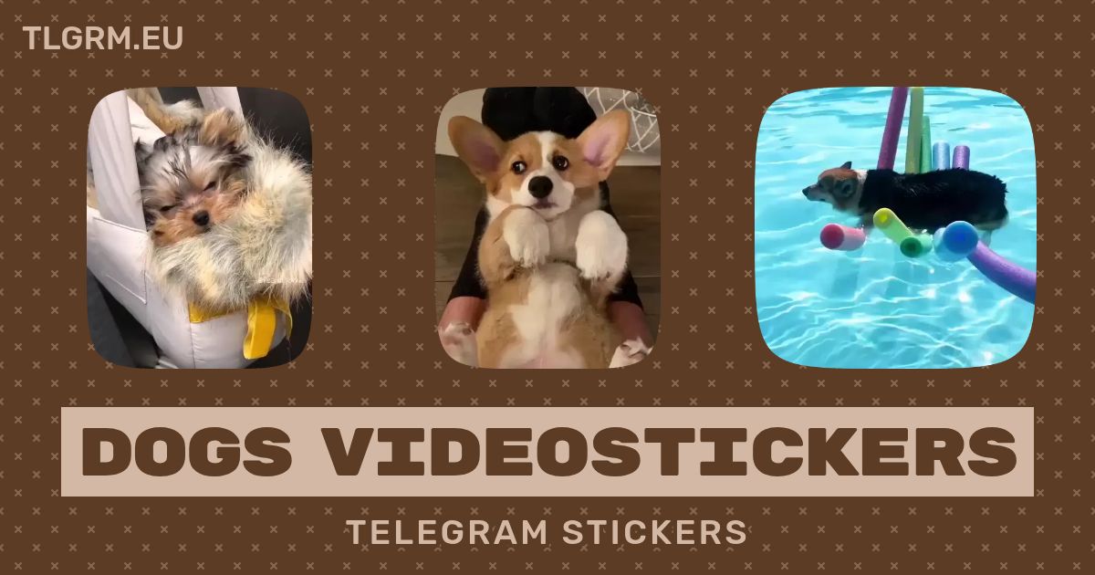 “Dogs Videostickers” animated sticker set for Telegram