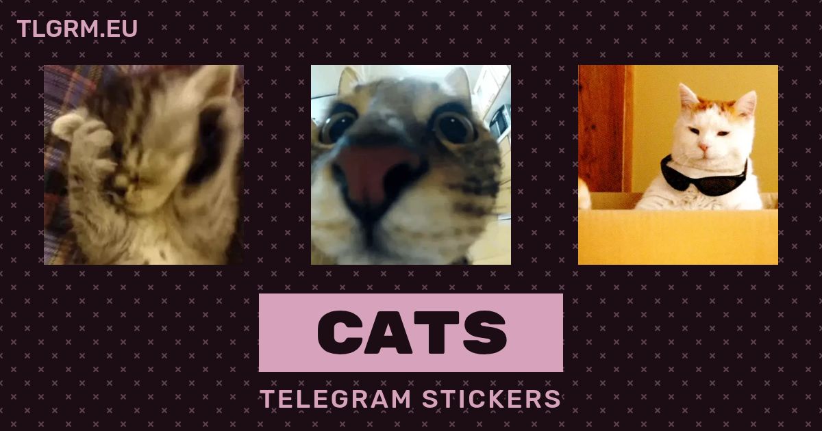“Cats” animated sticker set for Telegram