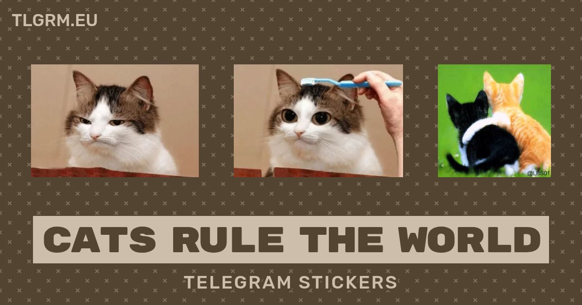 “Cats Rule the World” stickers set for Telegram