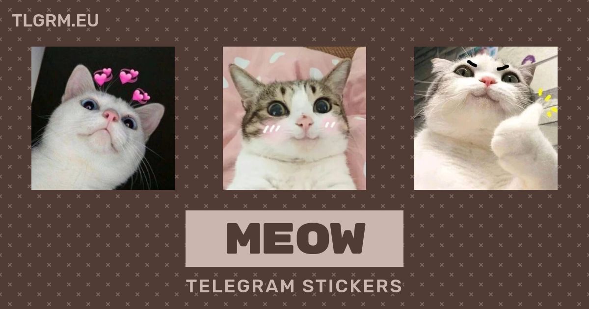 “Meow” stickers set for Telegram