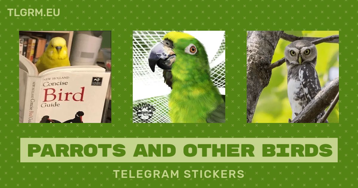 “Parrots and other birds” stickers set for Telegram