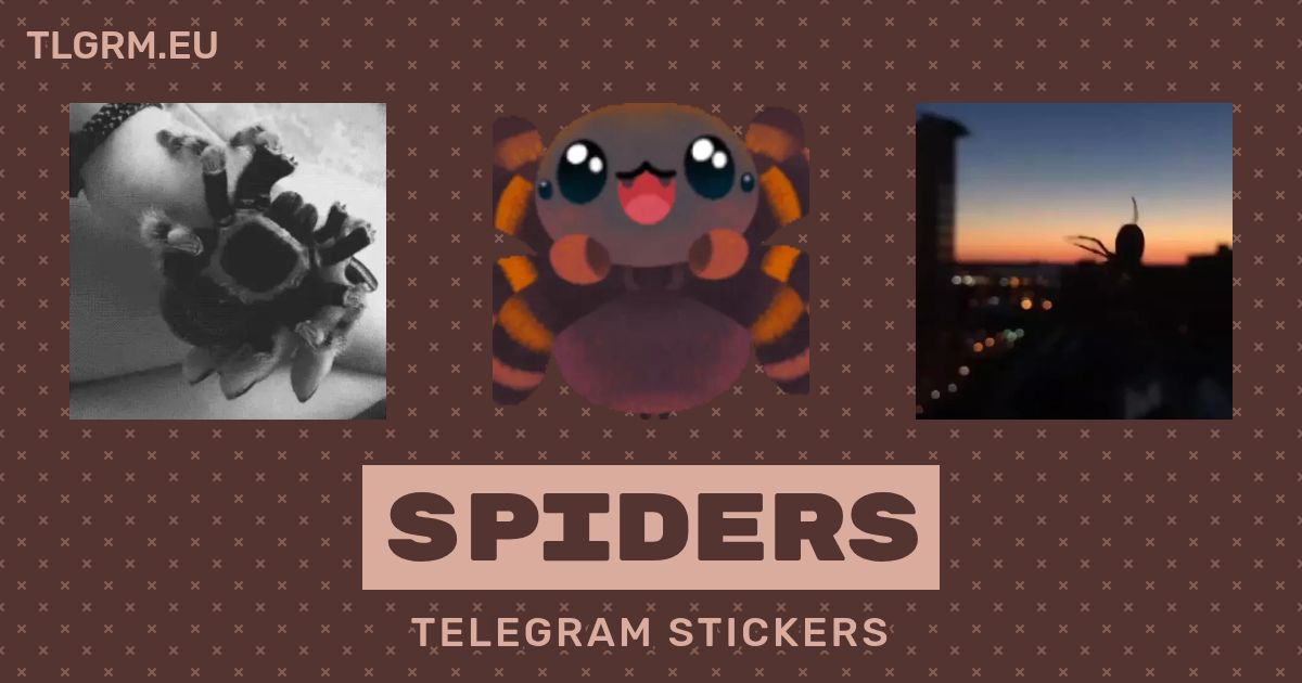 “Spiders” animated sticker set for Telegram