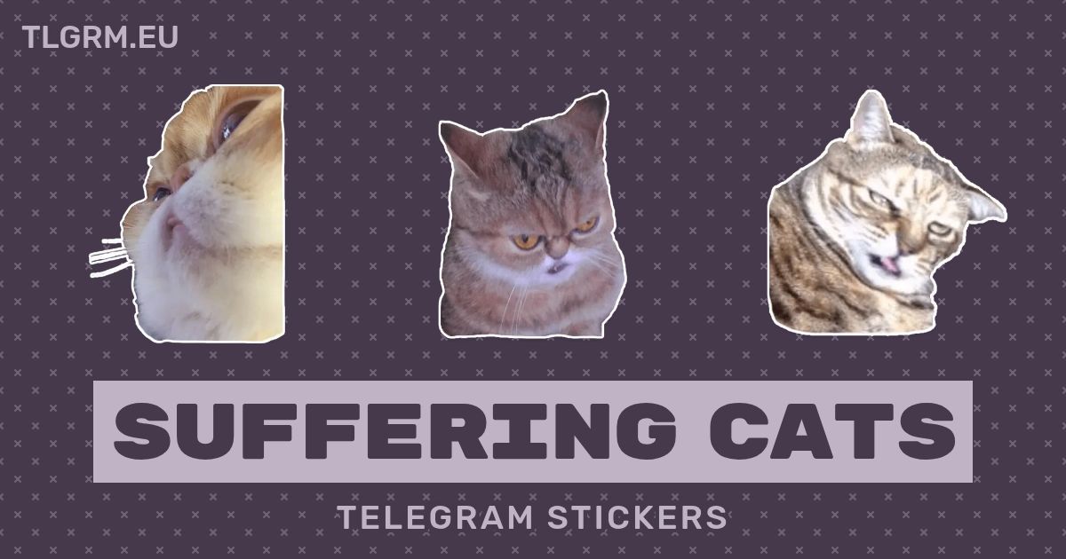 “Suffering Cats” stickers set for Telegram