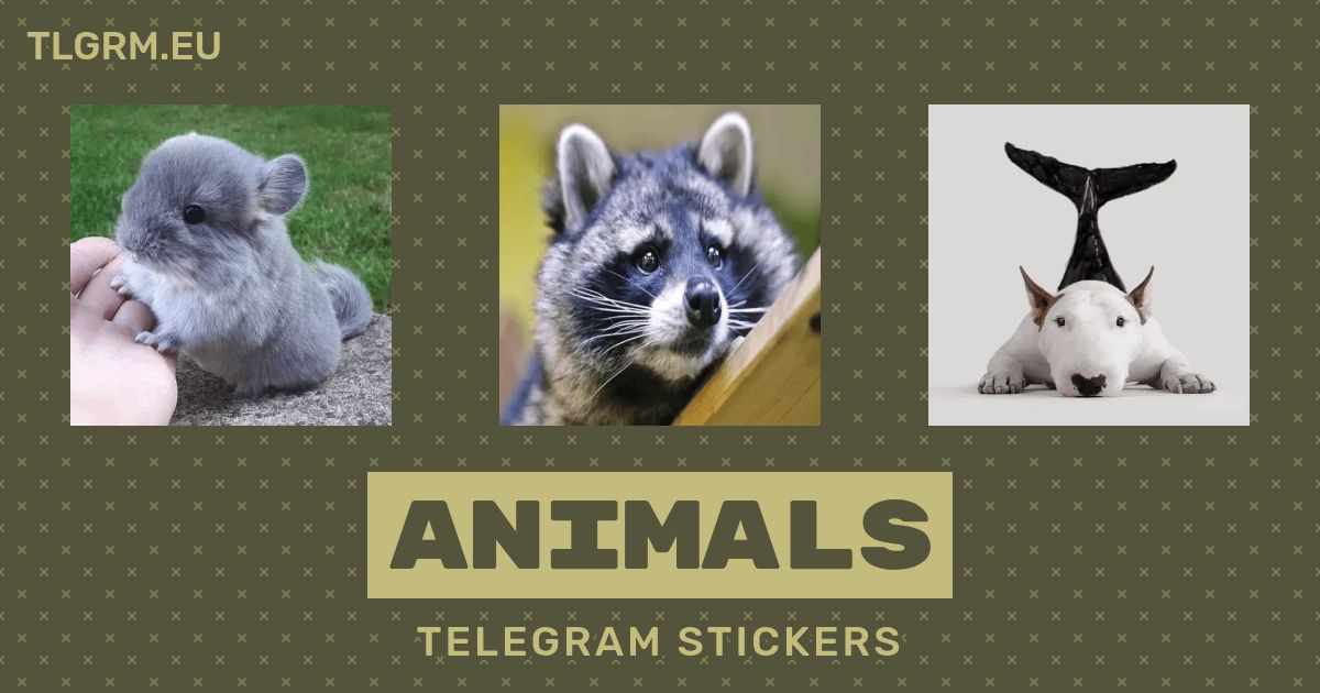 “Animals” stickers set for Telegram