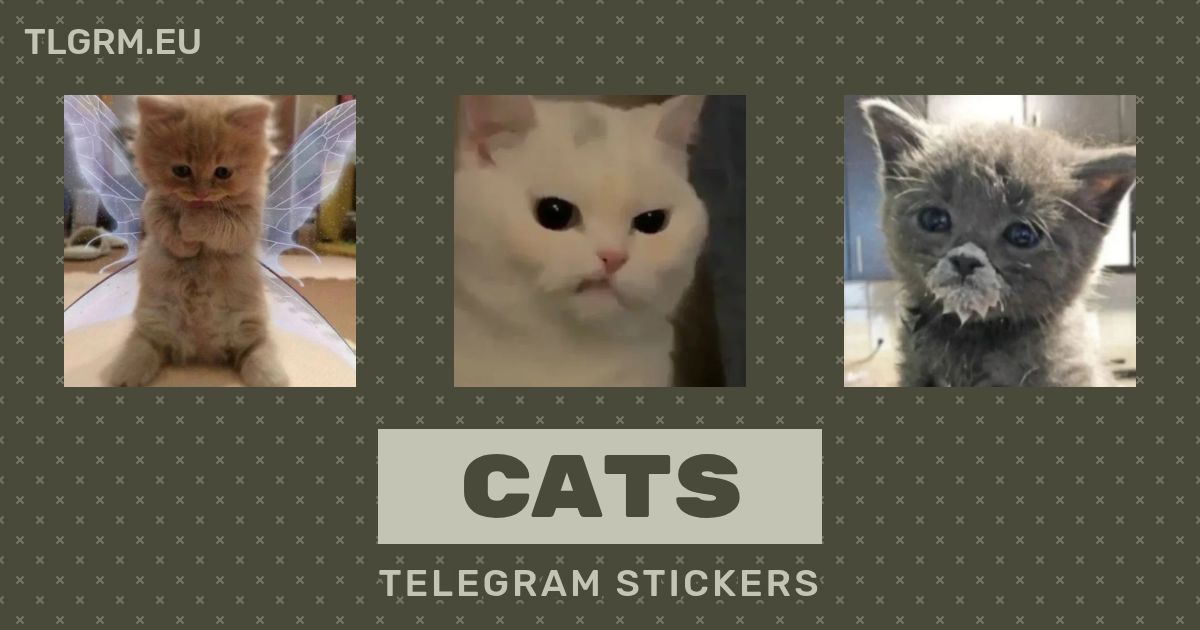 “Cats” stickers set for Telegram