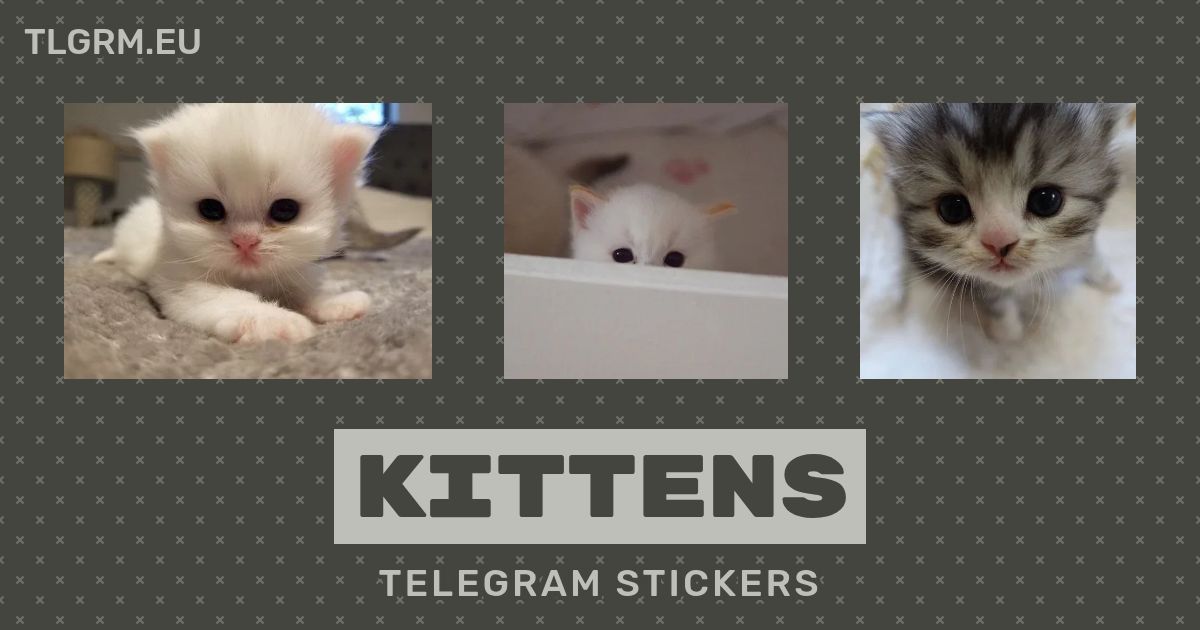“Kittens” stickers set for Telegram