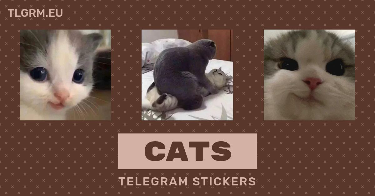 “Cats” stickers set for Telegram