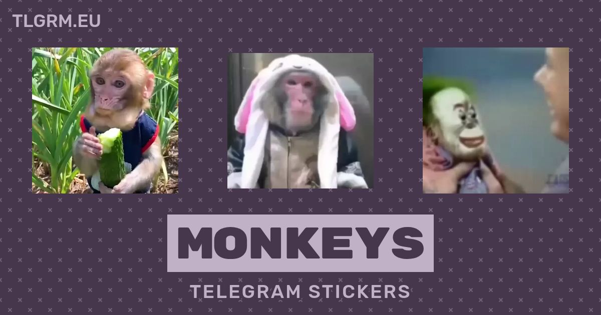 “Monkeys” stickers set for Telegram