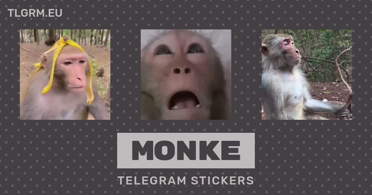 “Monke” animated sticker set for Telegram