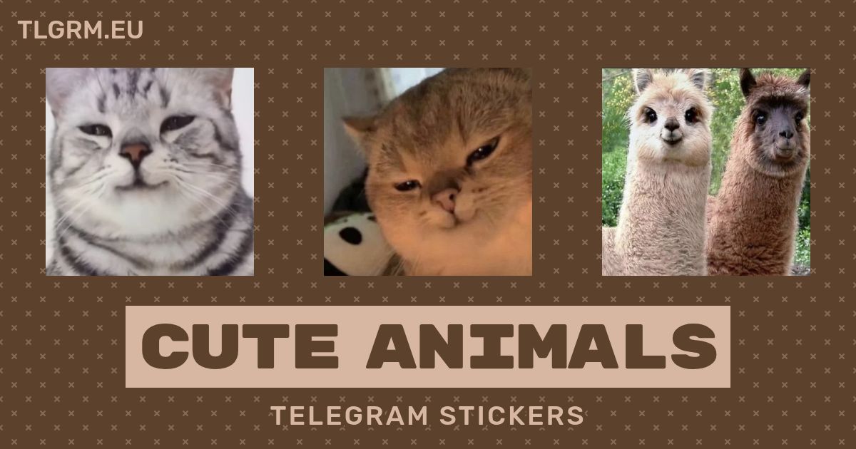 “Cute Animals” stickers set for Telegram
