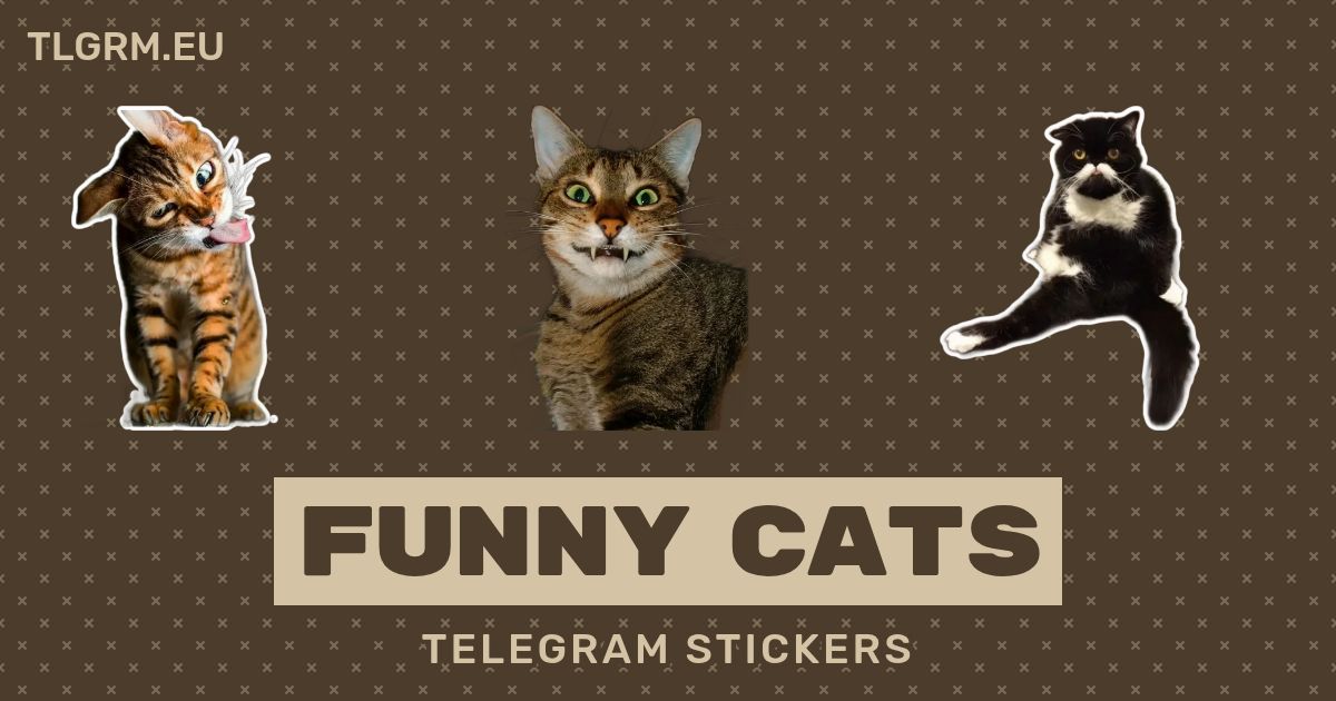 “Funny Cats” stickers set for Telegram